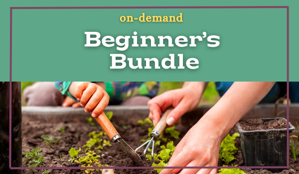 Beginner's Bundle