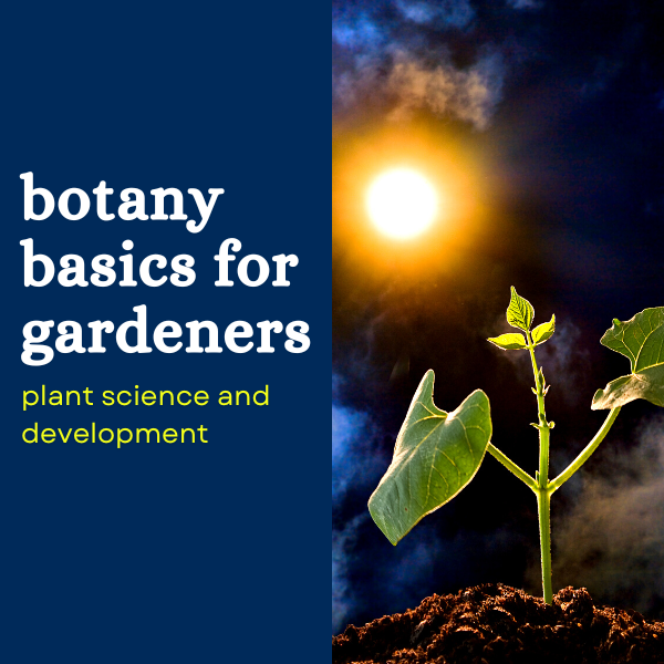 Botany Basics for Gardeners
