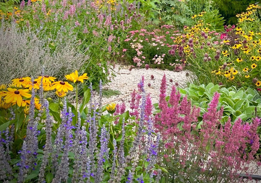 The Dallas Garden School | Gardening Classes